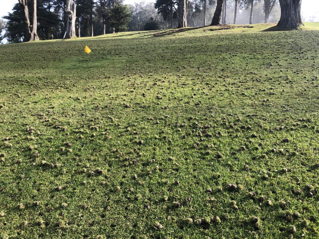 Our Services | Farison Lawn Care