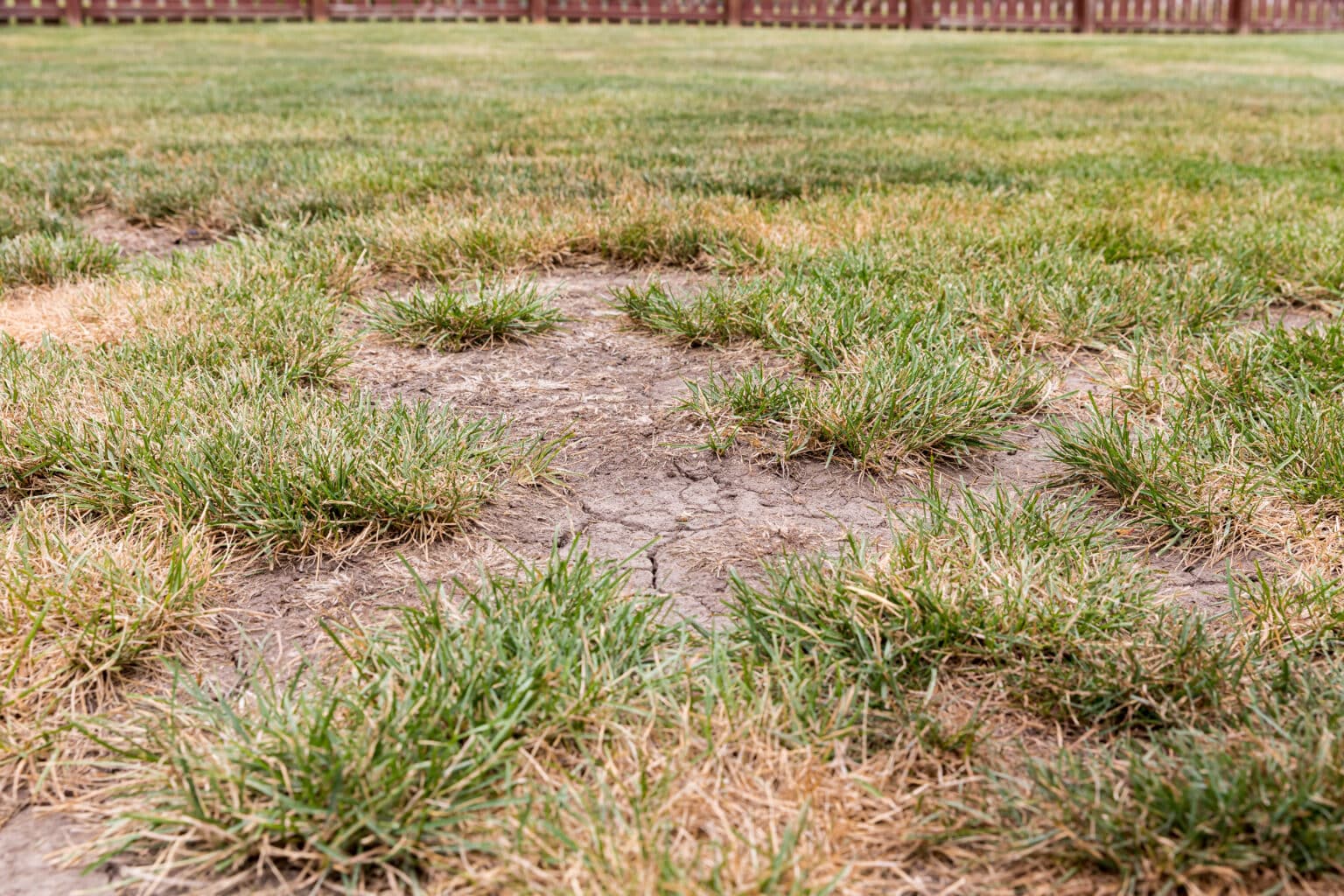 Our Services | Farison Lawn Care