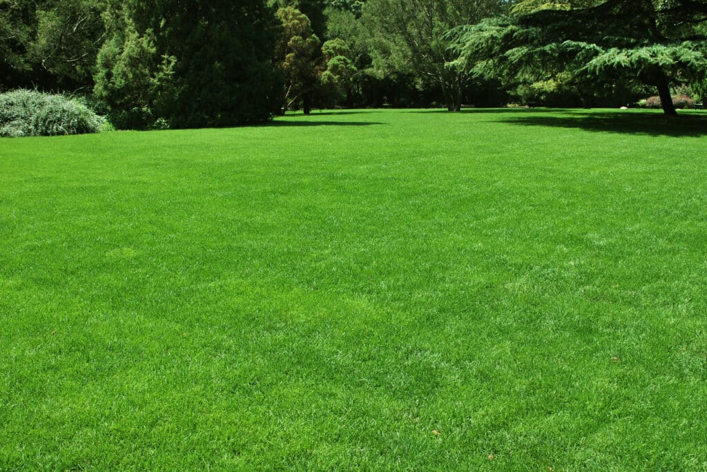 Our Services | Farison Lawn Care