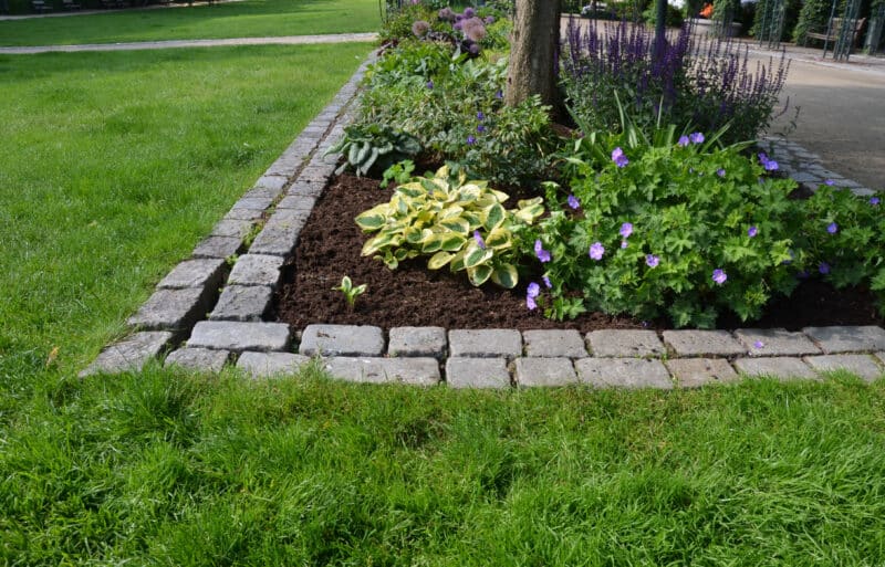 Affordable Lawn Care Services Louisville, KY | Lawn Fertilization, Weed ...