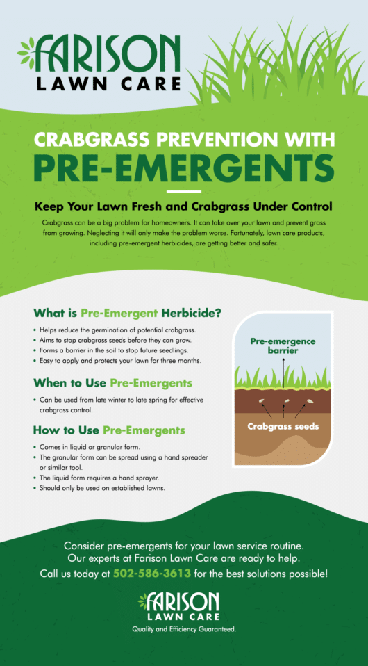 What Is Pre Emergent Herbicide : When and How to Apply Them