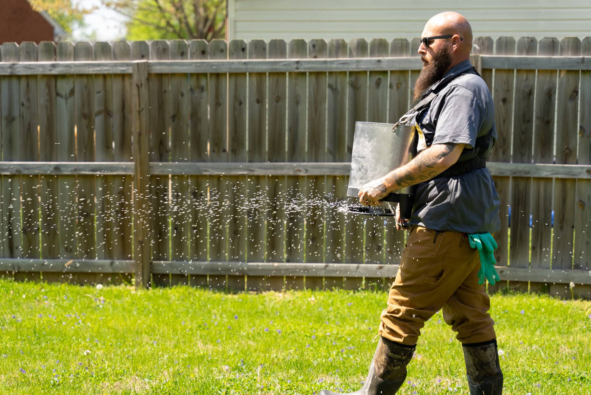 When Is The Best Time To Fertilize Your Lawn? | Farison Lawn Care
