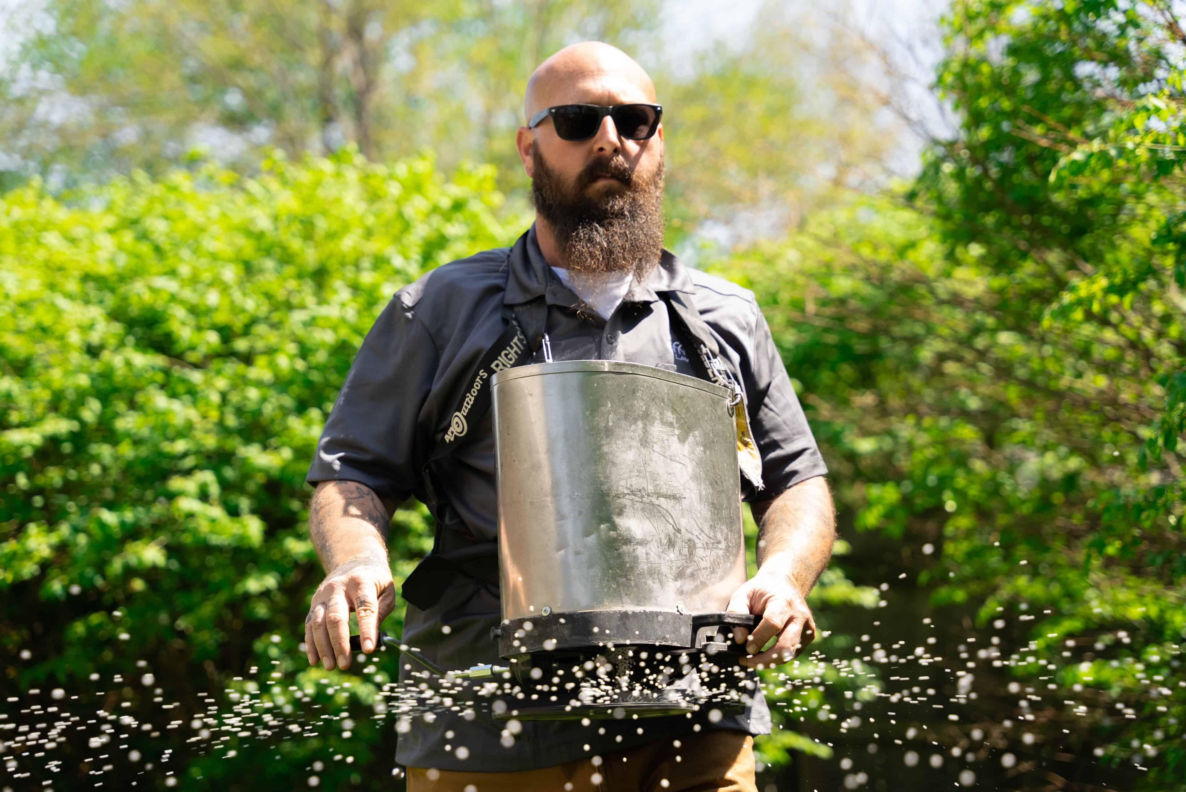 How to Prevent Lawn and Grass Diseases | Farison Lawn Care